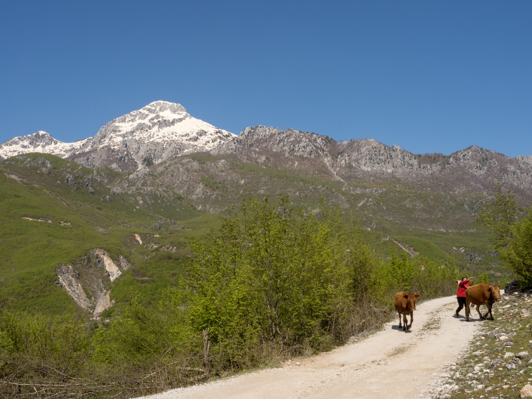 The best outdoor activities in Albania - Wobbly Ride