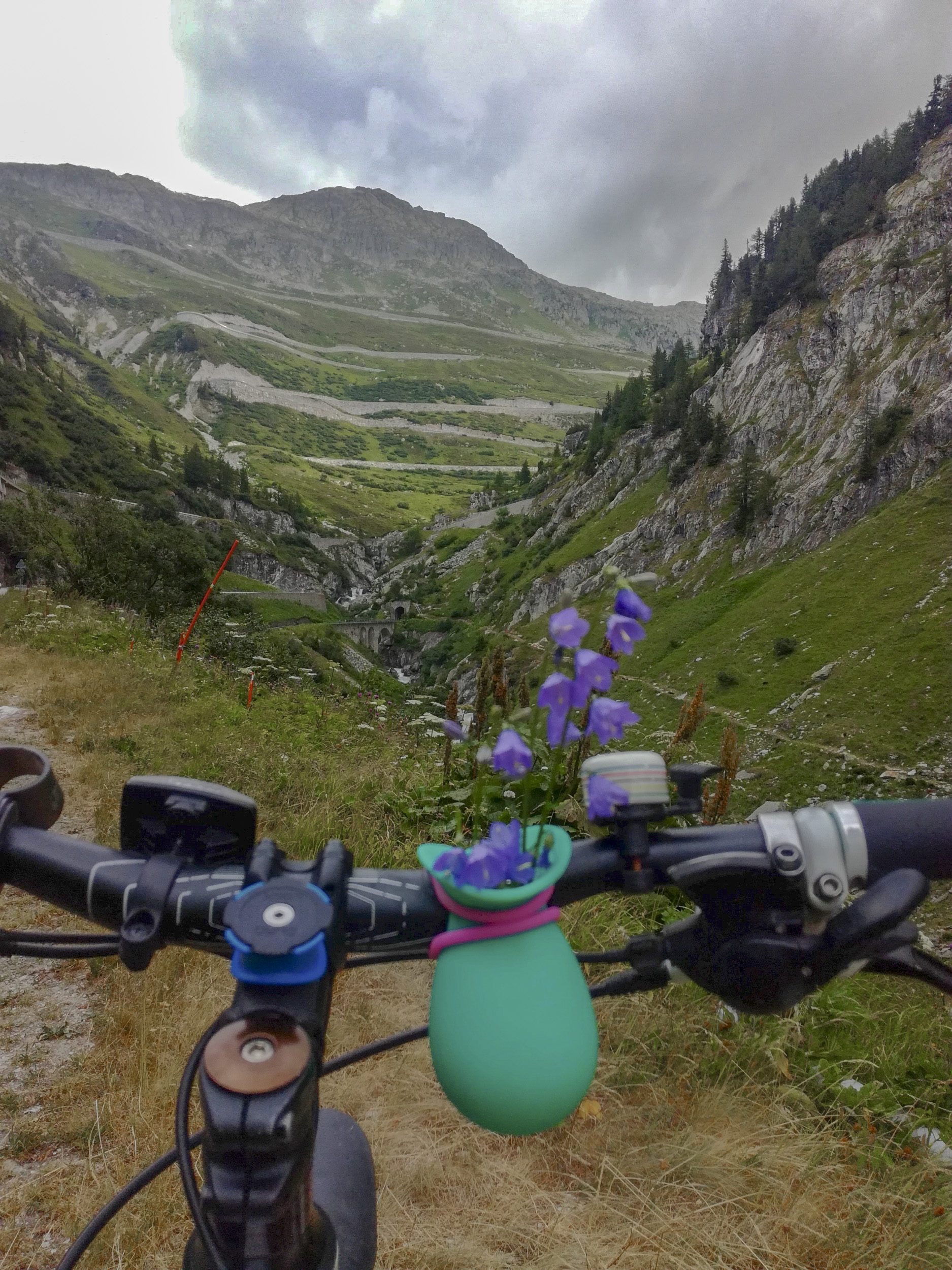Quad Lock bike mount review. Cycle mount for bicycle touring